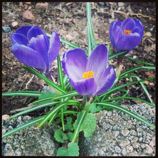 Cub Run Stream Valley - Park in Centreville