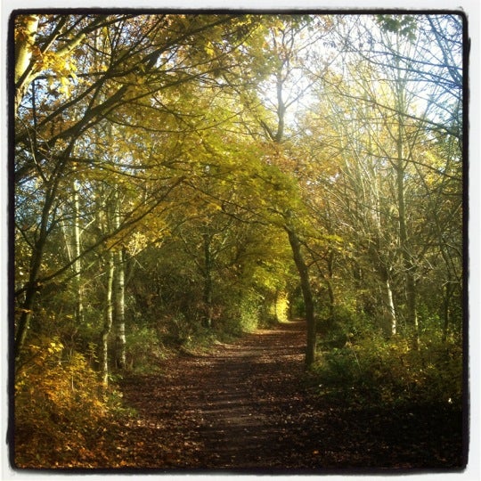 Kingsbury Water Park - 13 tips from 324 visitors