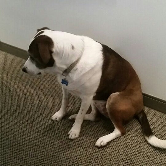 Schawk Photo Studio - Building in Chicago