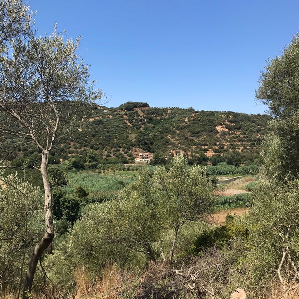 Drakiana Traditional Taverna - 2 tips from 71 visitors