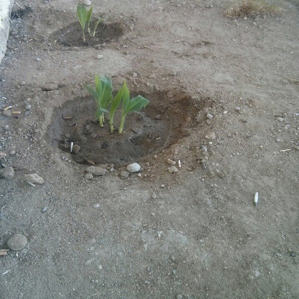 Skyserv Handling Ramp Offices - Office