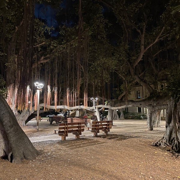 Lahaina Banyan Court Park - Park in Lahaina