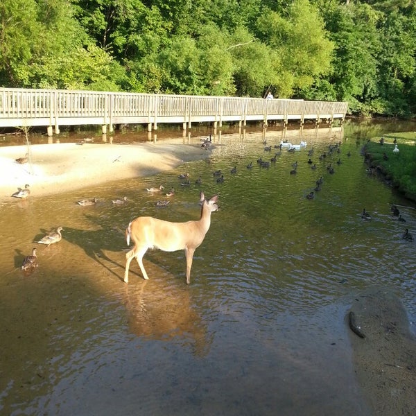Lake Lynn Trail - Raleigh, NC