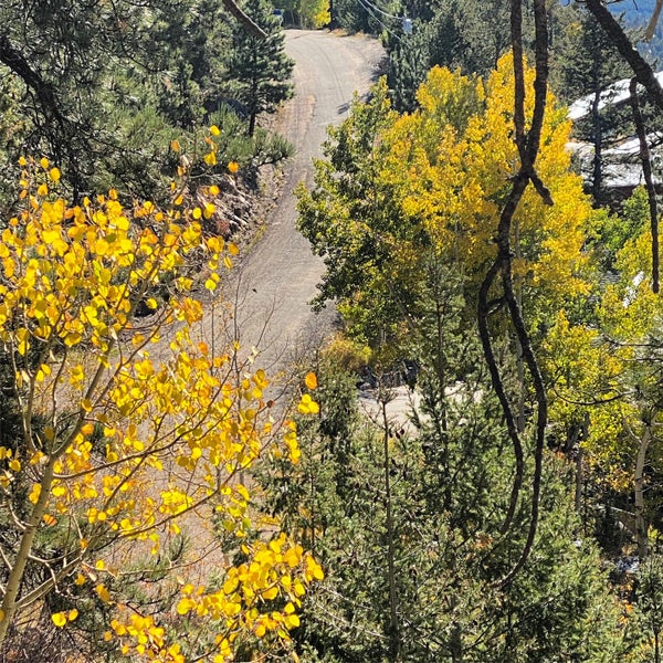 Evergreen Library - Library