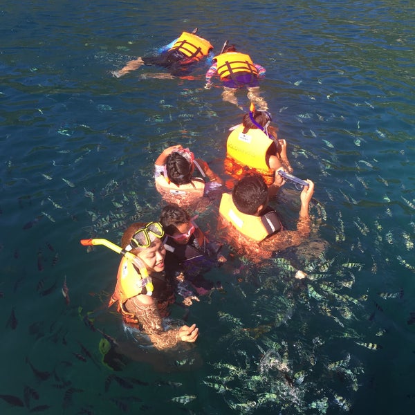 Skeleton Wreck - Dive Spot in Coron