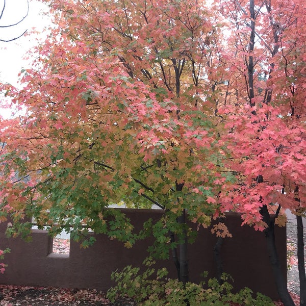 Far View Terrace - 3 tips from 228 visitors