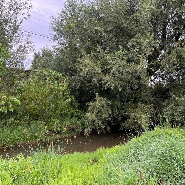 Left Hand Creek Park - 65 visitors