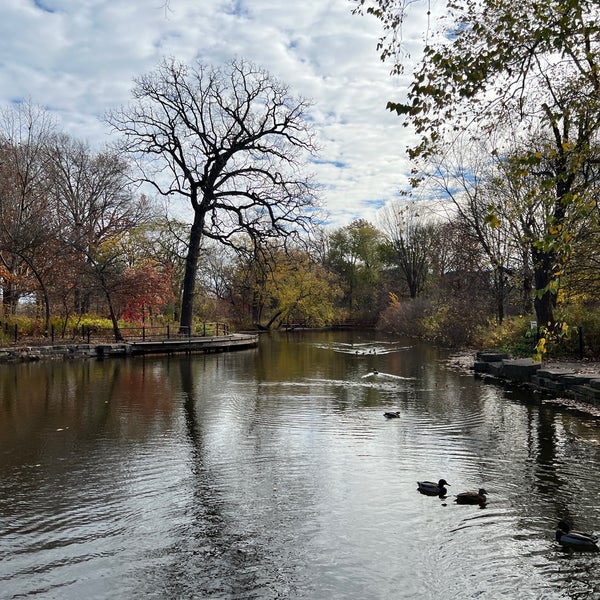 Gompers Lagoon & Wetland - North Mayfair - Chicago, IL