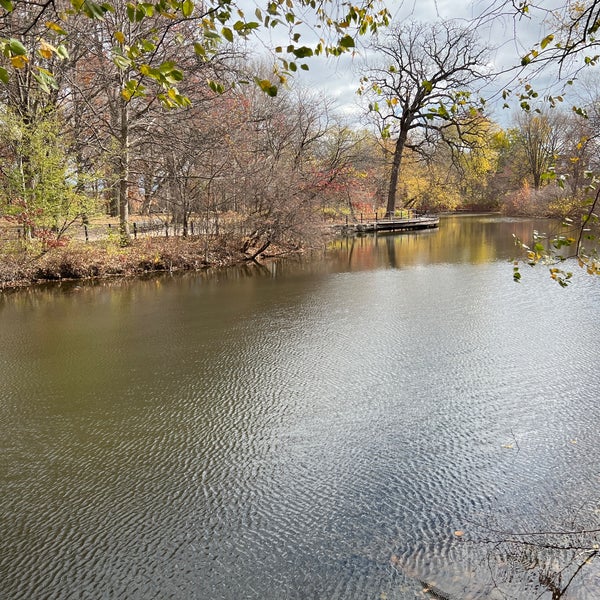 Gompers Lagoon & Wetland - North Mayfair - Chicago, IL