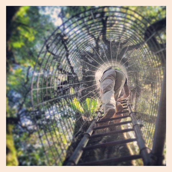 Photos at O'Reilly's Tree Top Walk - Hiking Trail