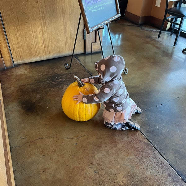 Johnny Ocean's - Caribbean Restaurant