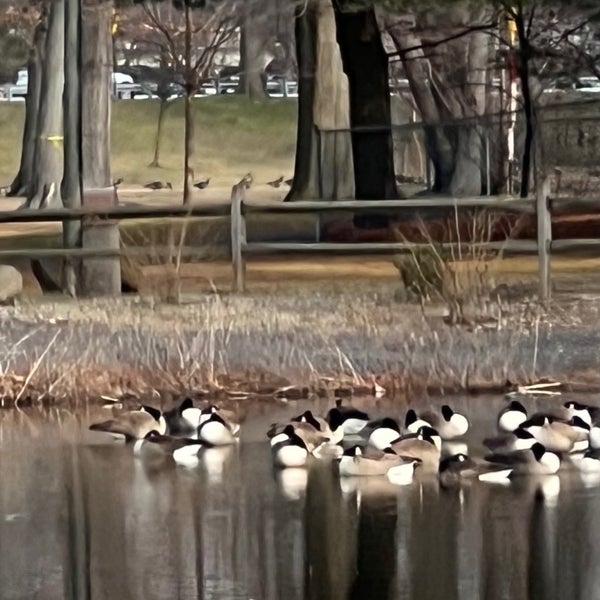 Valley Stream, NY - 14 tips from 2251 visitors