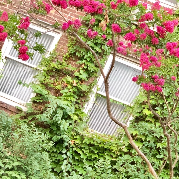 Skillman Park - 43rd Ave And Skillman