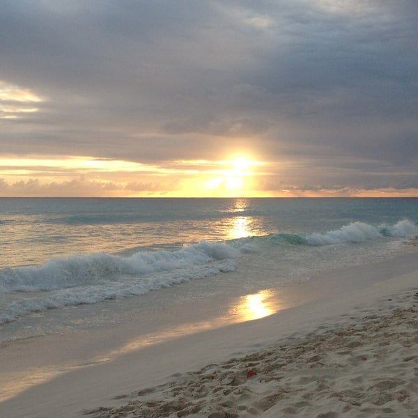 Dover Beach Park - 10 tips from 204 visitors