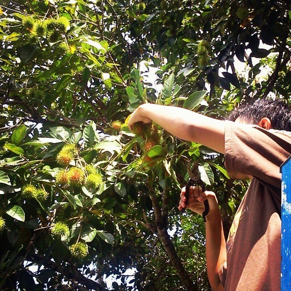 Photos at Bayu Hotel,Baling - Hotel in Baling