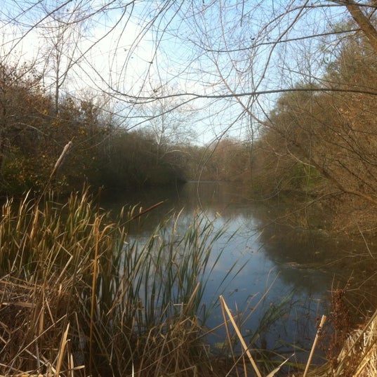 Bacon Swamp - Indianapolis, IN