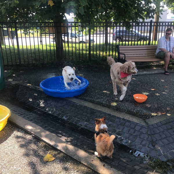 Locust Point Dog Park - Dog Park in Baltimore