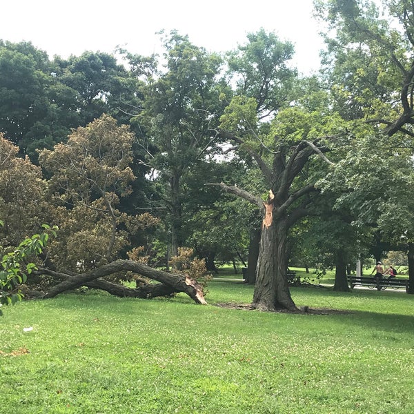 Montrose Park - Field in Uptown