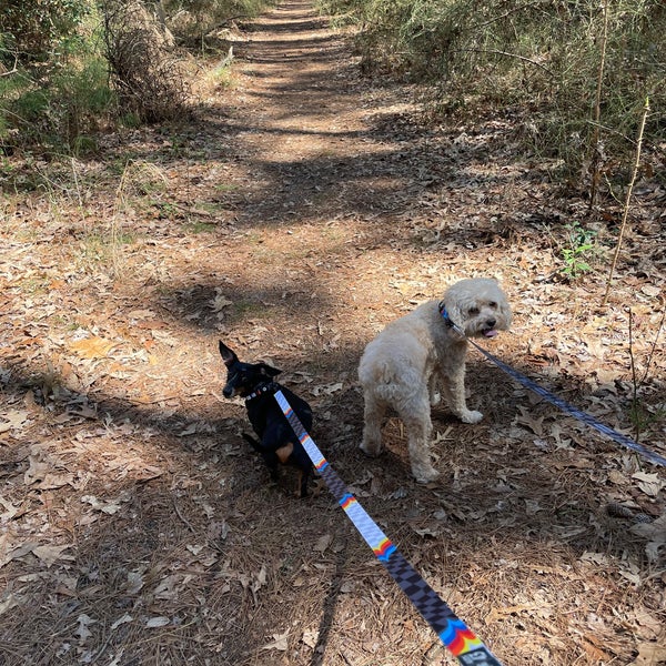 Prime Hook National Wildlife Refuge - Nature Preserve
