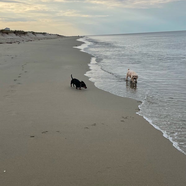 Broadkill Beach - 11 tips