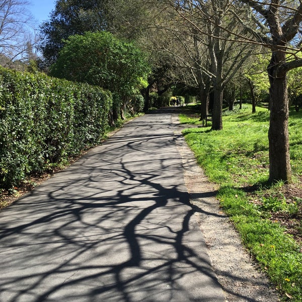 Frederick S. Allen Park - Ross, CA