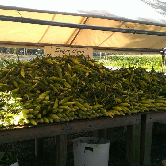 Roberts Ridge Farm - Shawboro, NC