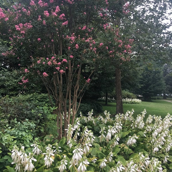 Azalea Gardens - West Philadelphia - 7 tips