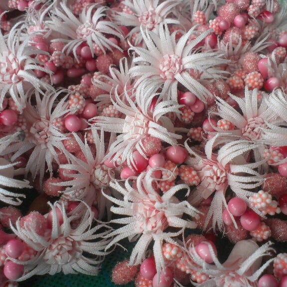 ARI Style Wedding Workshop - Arts and Crafts Store in Sofia