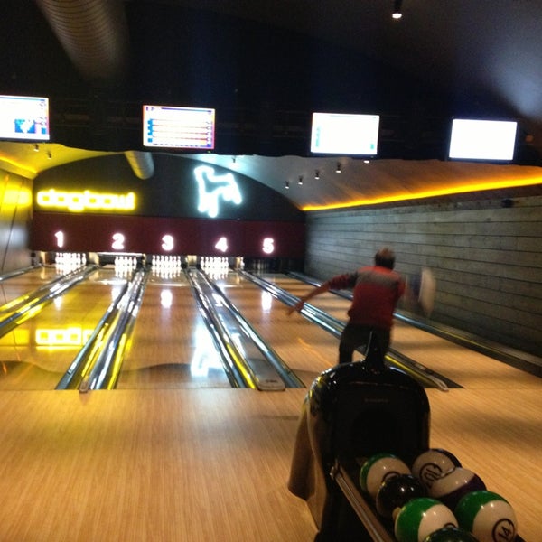 Dog Bowl - City Centre - 11 tips from 4 visitors