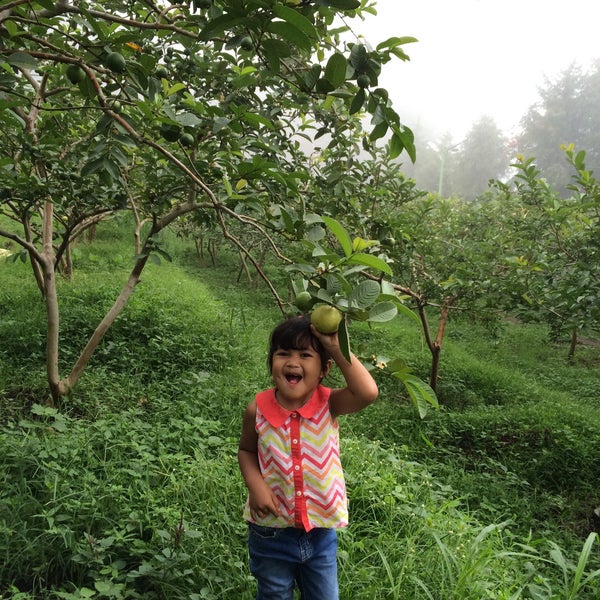 Kusuma Agrowisata - Garden Center