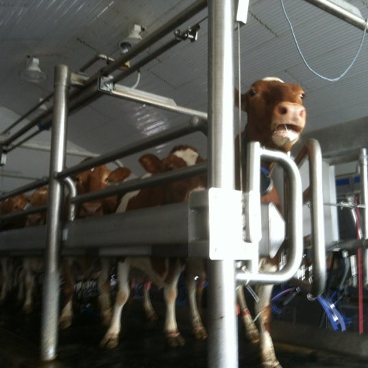 Hoard's Dairyman Farm - Fort Atkinson, WI