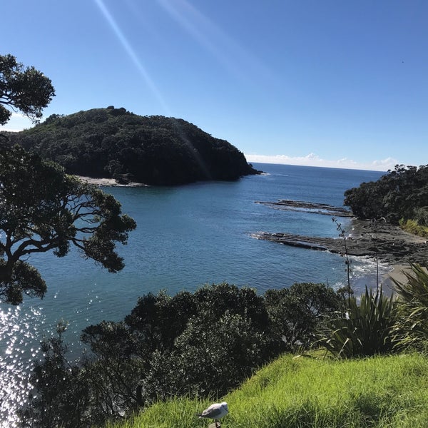 Mahurangi Island / Goat Island - Island