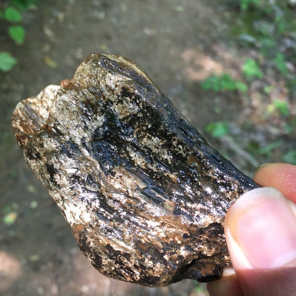 Fred Crabtree Park - 3 tips