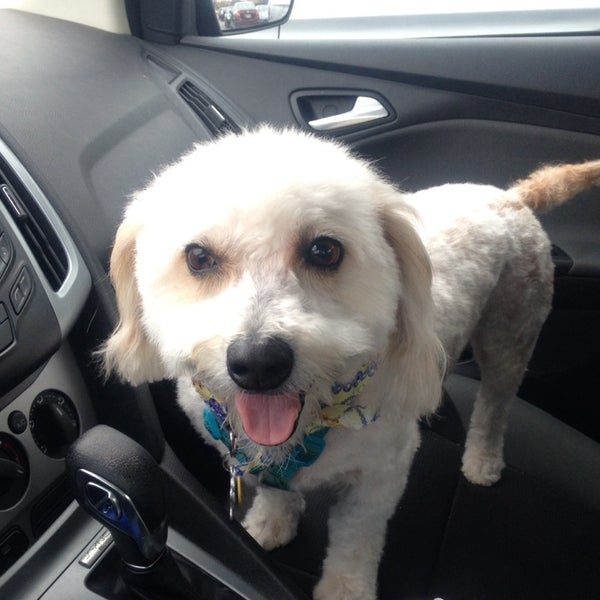 Poochie Bath & Boutique - 1 tip