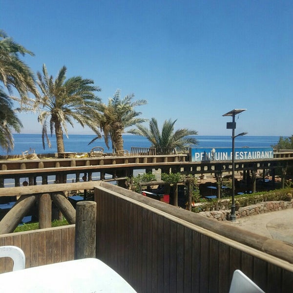 Penguin Village - 4 tips from 101 visitors