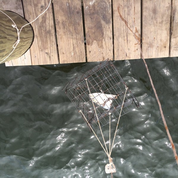 Dock Outfitters Fishing Pier - Seaside Heights, NJ