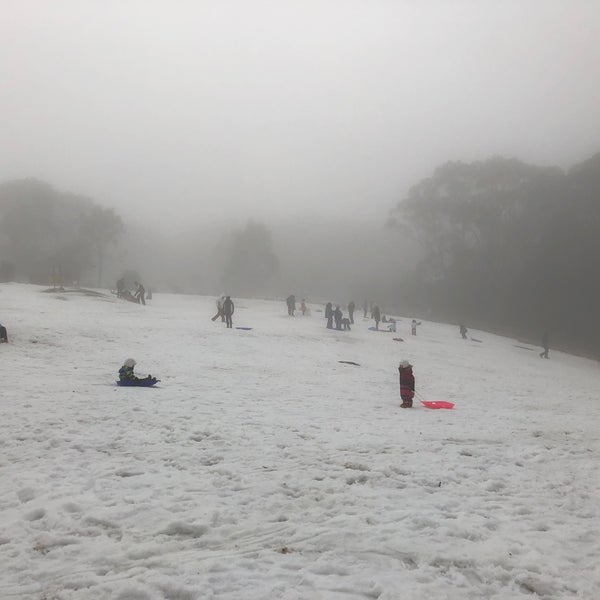 Mount Donna Buang - Mt Donna Buang Summit Road