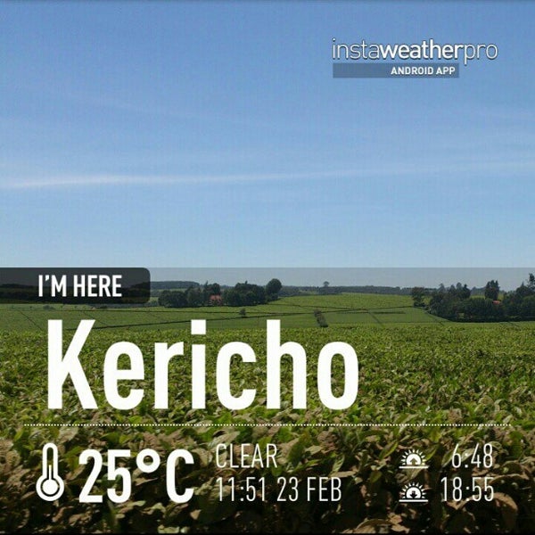Kericho Town