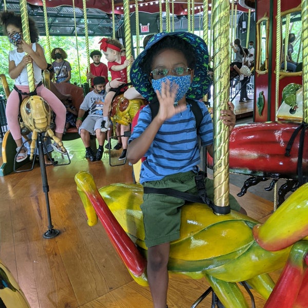 Bug Carousel - Amusement Park in Bronx Park