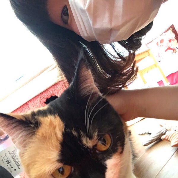 ハピ猫 (Hapi Neko) (Now Closed) - Pet Café in 道玄坂