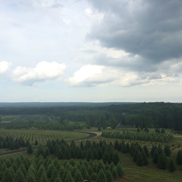 Geer's Tree Farm - Farm in Griswold