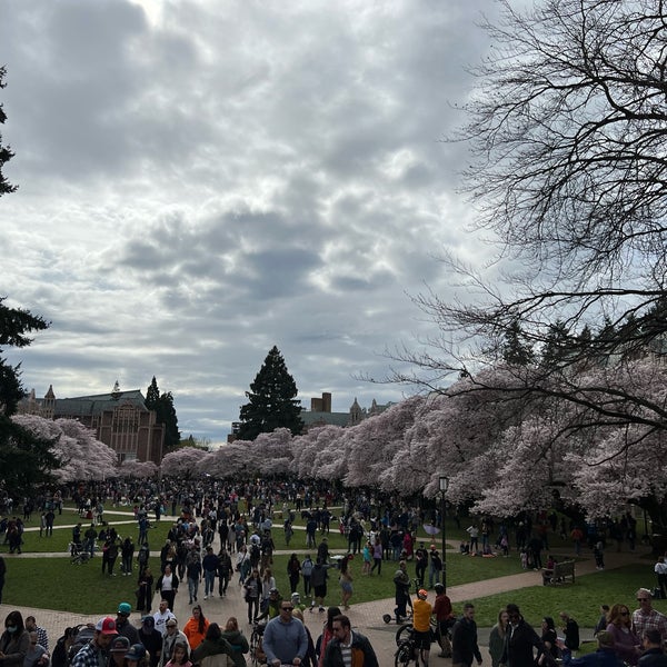 Photos at University of Washington - University District - Seattle, WA