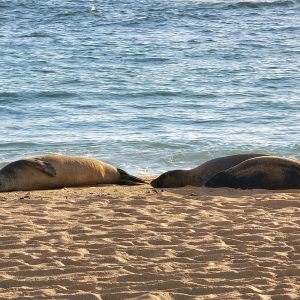 Kaimana Beach Hotel - Diamond Head - Kapahulu - St. Louis - 10 tips