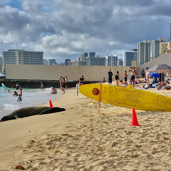 Photos at Kaimana Beach Hotel - Diamond Head - Kapahulu - St. Louis ...