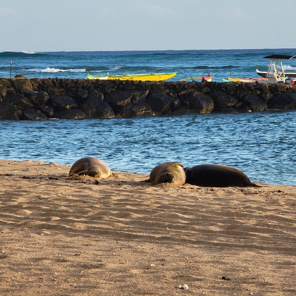 Kaimana Beach Hotel - Diamond Head - Kapahulu - St. Louis - 10 tips