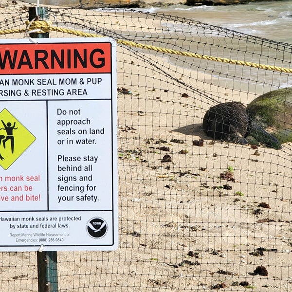 Photos at Kaimana Beach Hotel - Diamond Head - Kapahulu - St. Louis ...