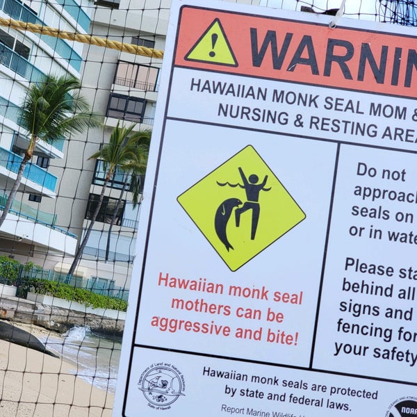 Photos at Kaimana Beach Hotel - Diamond Head - Kapahulu - St. Louis ...