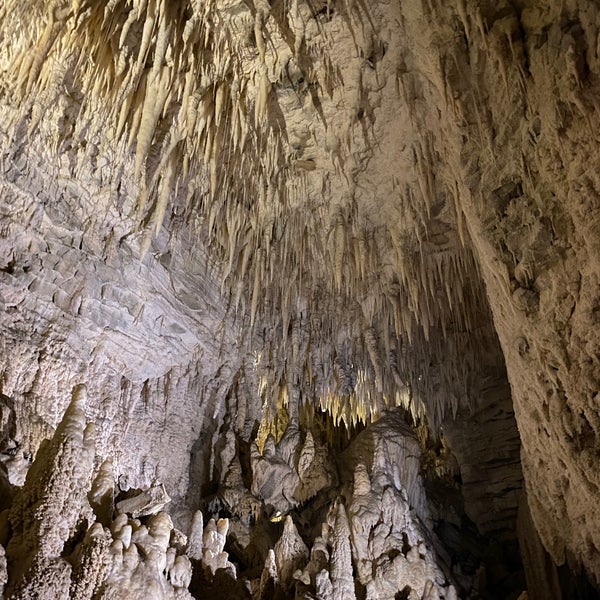 Ruakuri Cave - 7 tips