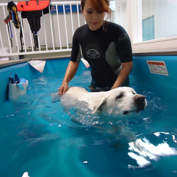 California Animal Rehabilitation - Veterinarian in West Los Angeles