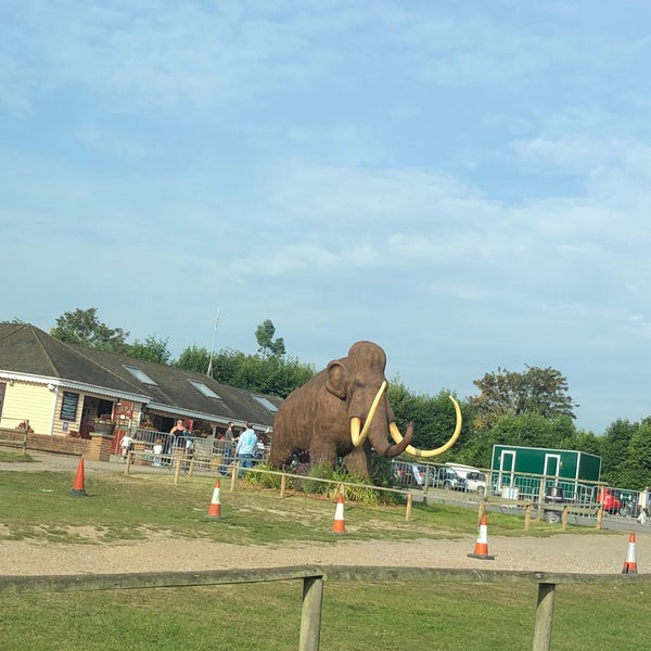 Photos at Howletts Wild Animal Park - 9 tips